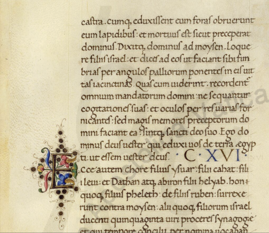 Vatican Find: Hyacinth Flower Next to the Latin Word for Techeiles ...