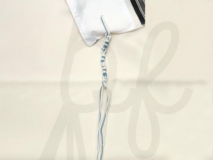 החיפוש אחר חילזון התכלת - Blue Fringes - Techeiles - Tekhelet ...