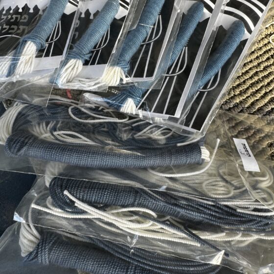 Ziderman Techeiles Strings - A Blue Fringes Exclusive - Blue Fringes ...