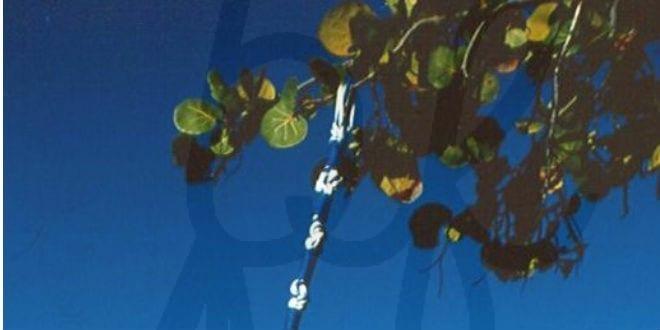 Biblical dye factory can’t keep up with demand to produce ‘techelet ...