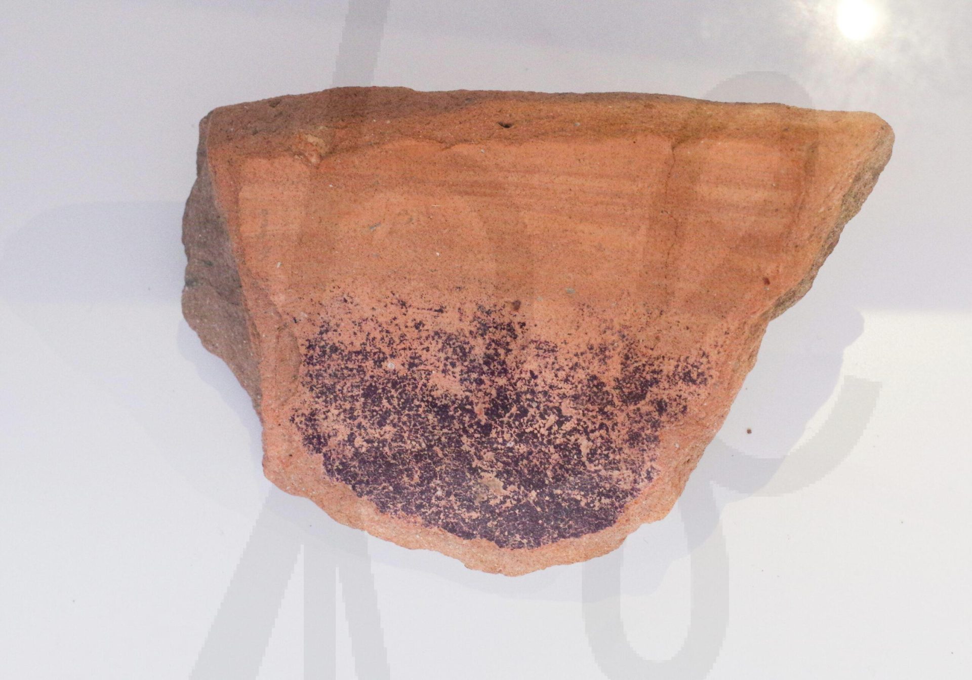 Ancient Israel’s Tyrian Purple Factory - Blue Fringes - Techeiles ...