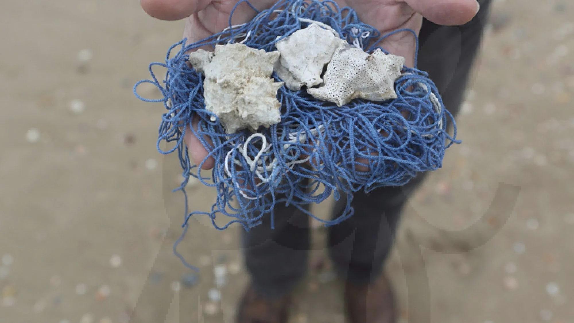 Textiles of the World: Tekhelet meirathebear April 19, 2021 - Blue ...