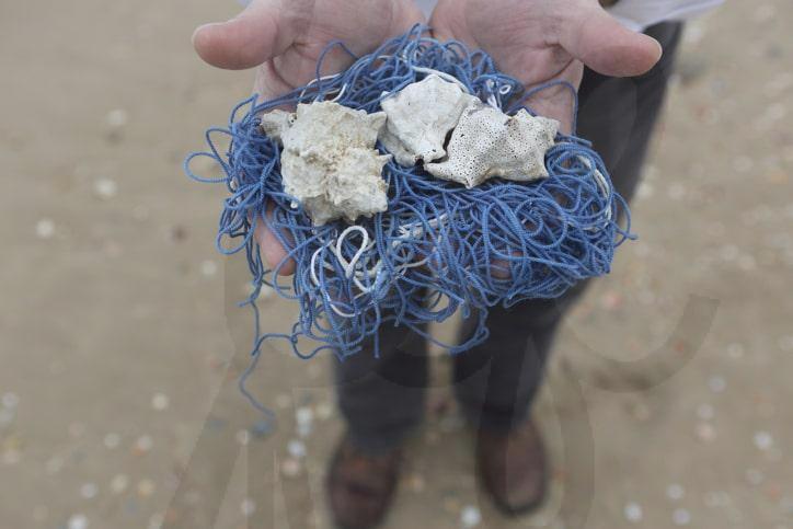 Textiles of the World: Tekhelet meirathebear April 19, 2021 - Blue ...