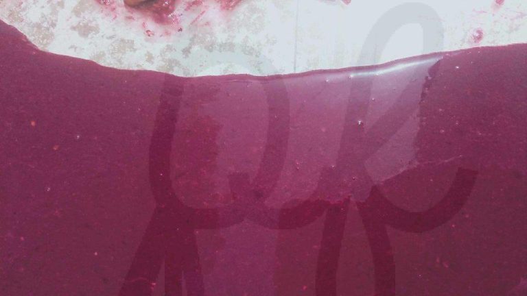 Tyrian purple: The lost ancient pigment that was more valuable than ...