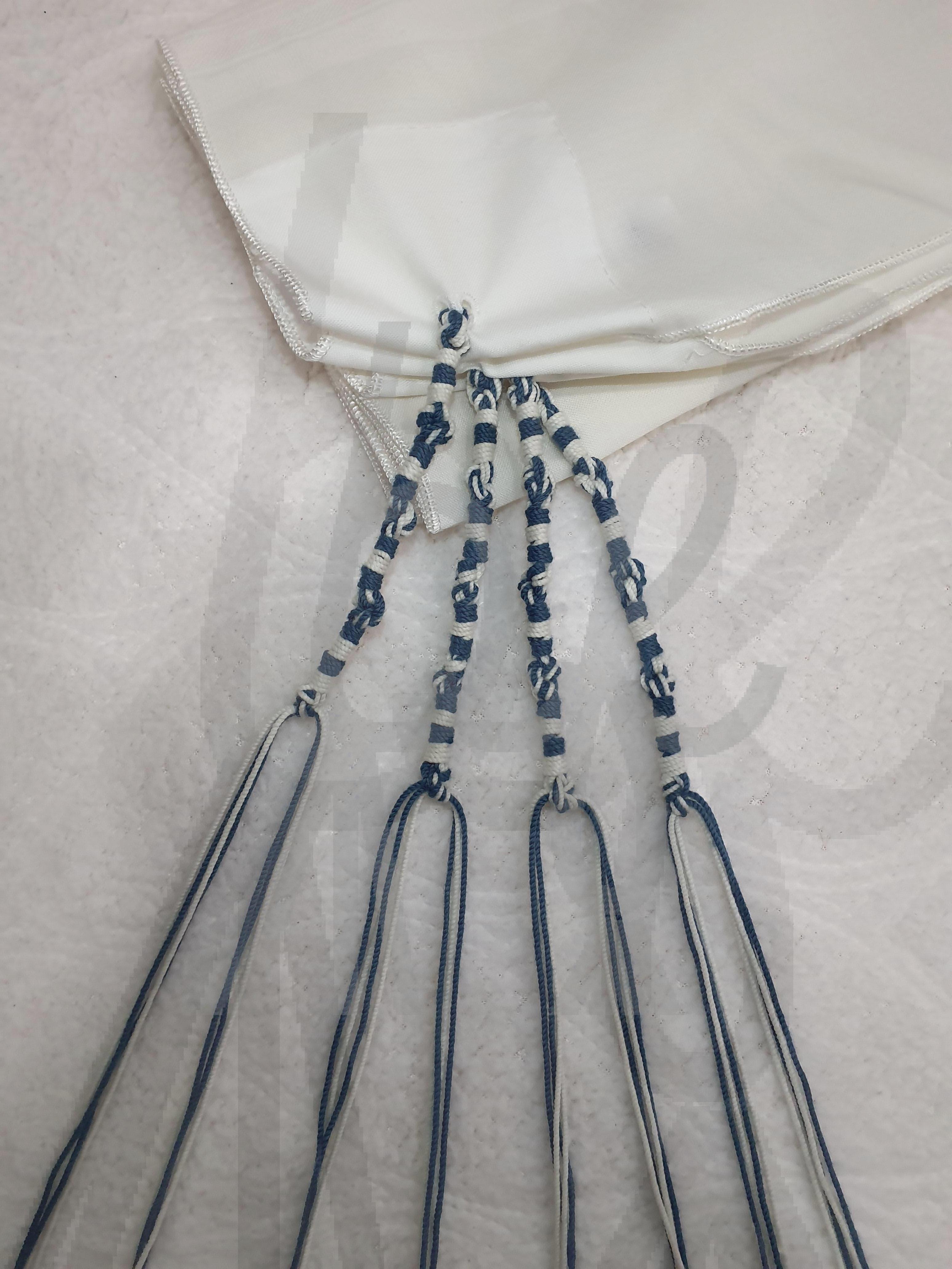 Rosh, or Reverse Chinuch Method - Blue Fringes - Techeiles - Tekhelet ...