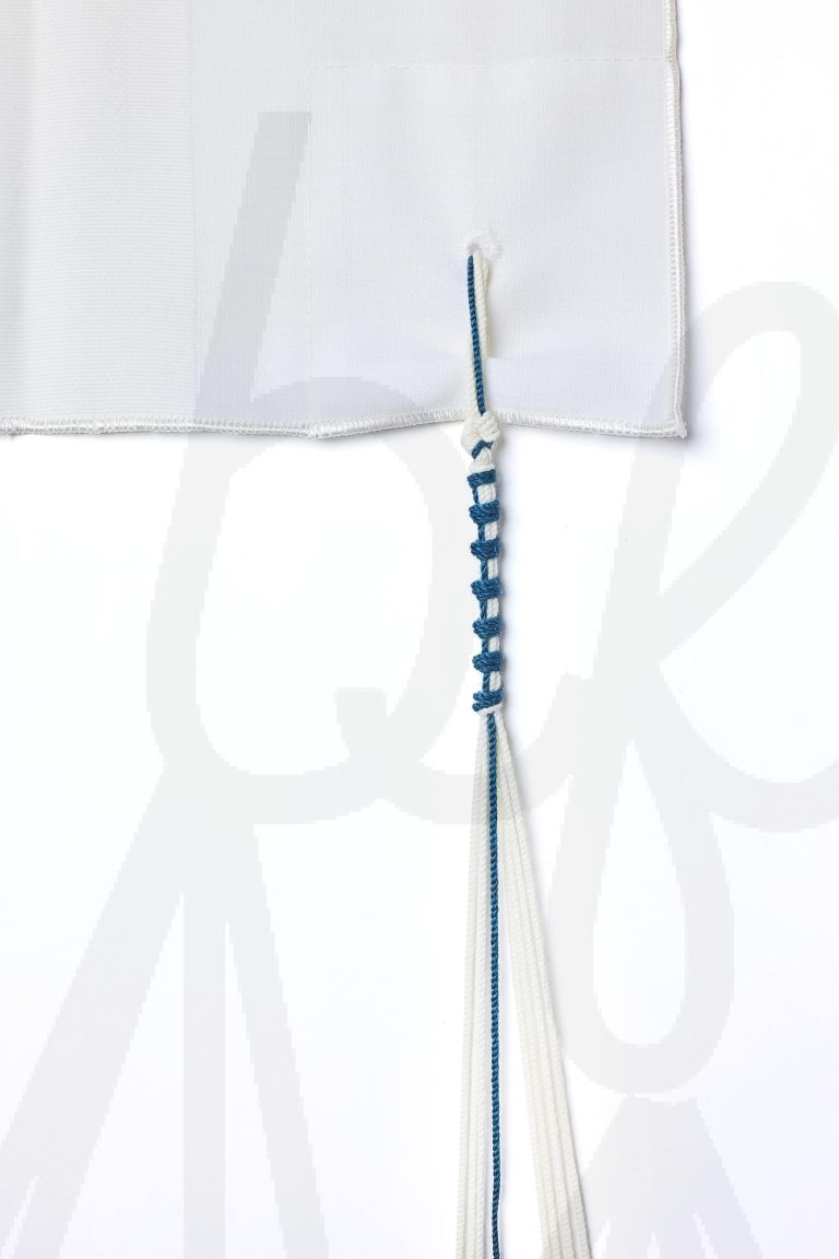 Lavan and Tekhelet According to the Rambam - Blue Fringes - Techeiles ...