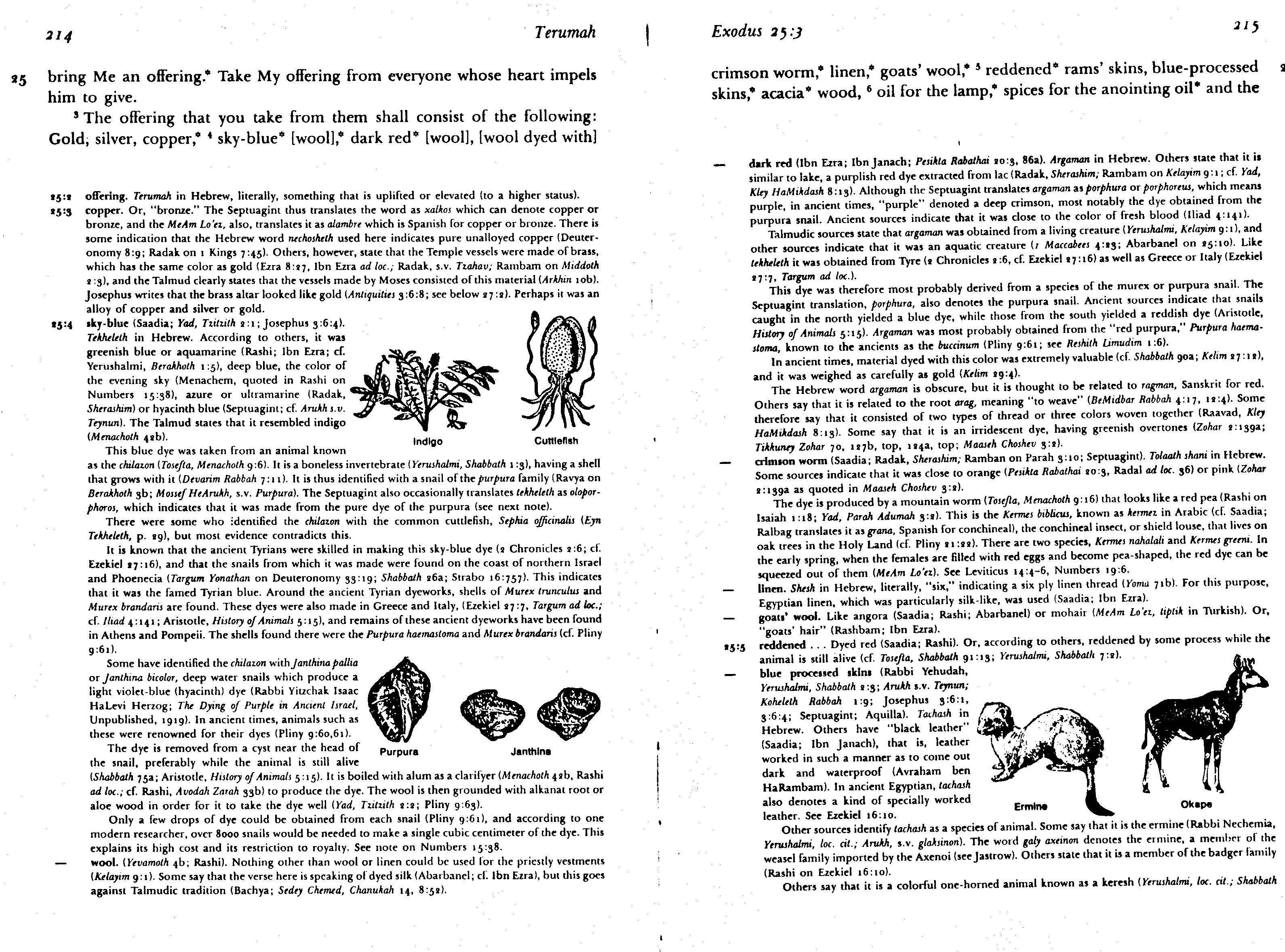 R' Aryeh Kaplan - Techeiles is Sky Blue from the Purpura - Blue Fringes ...