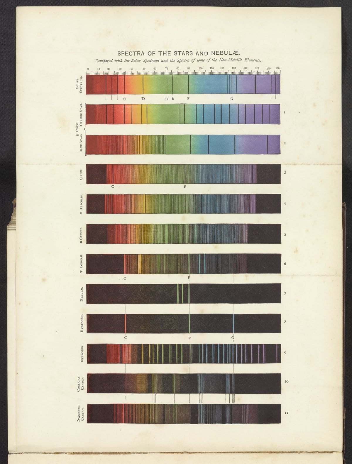 Radzyner Rebbe's Color Range - Blue Fringes - Techeiles - Tekhelet ...